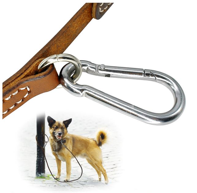 Genuine Leather Dog Leash - Self Tether Clip